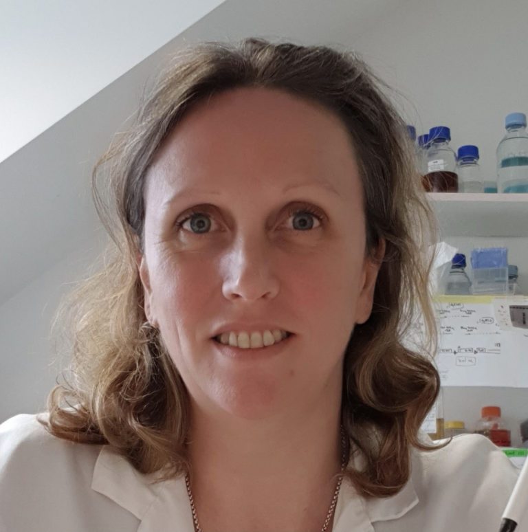 Didier Mazel - Bacterial Genome Plasticity - Research - Institut Pasteur