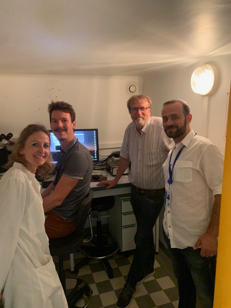 Philippe Bastin - Research - Institut Pasteur