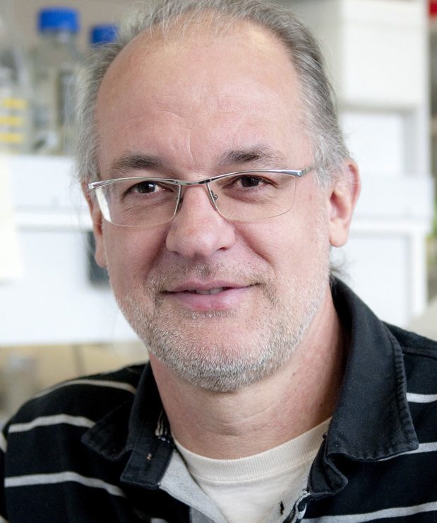 Artur Scherf - Research - Institut Pasteur