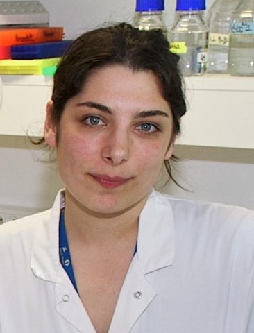 Mathilde Ben Assaya - Research - Institut Pasteur