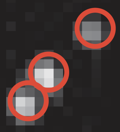 Christophe Zimmer - FISH-quant: automatically counting transcripts in ...