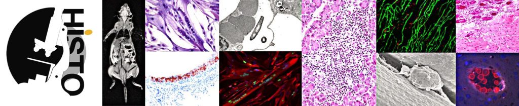 David Hardy - Histopathology - Research - Institut Pasteur