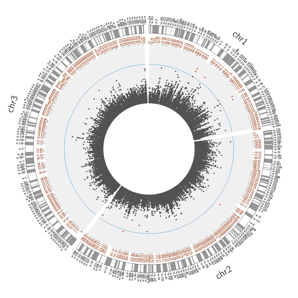Louis Lambrechts - Insect-Virus Interactions - Research - Institut Pasteur