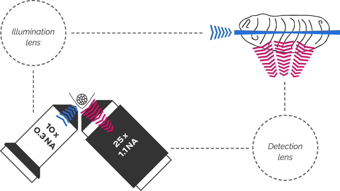 Luxendo InVi-SPIM microscope demo @ Imagopole - March 13th to the 17th ...