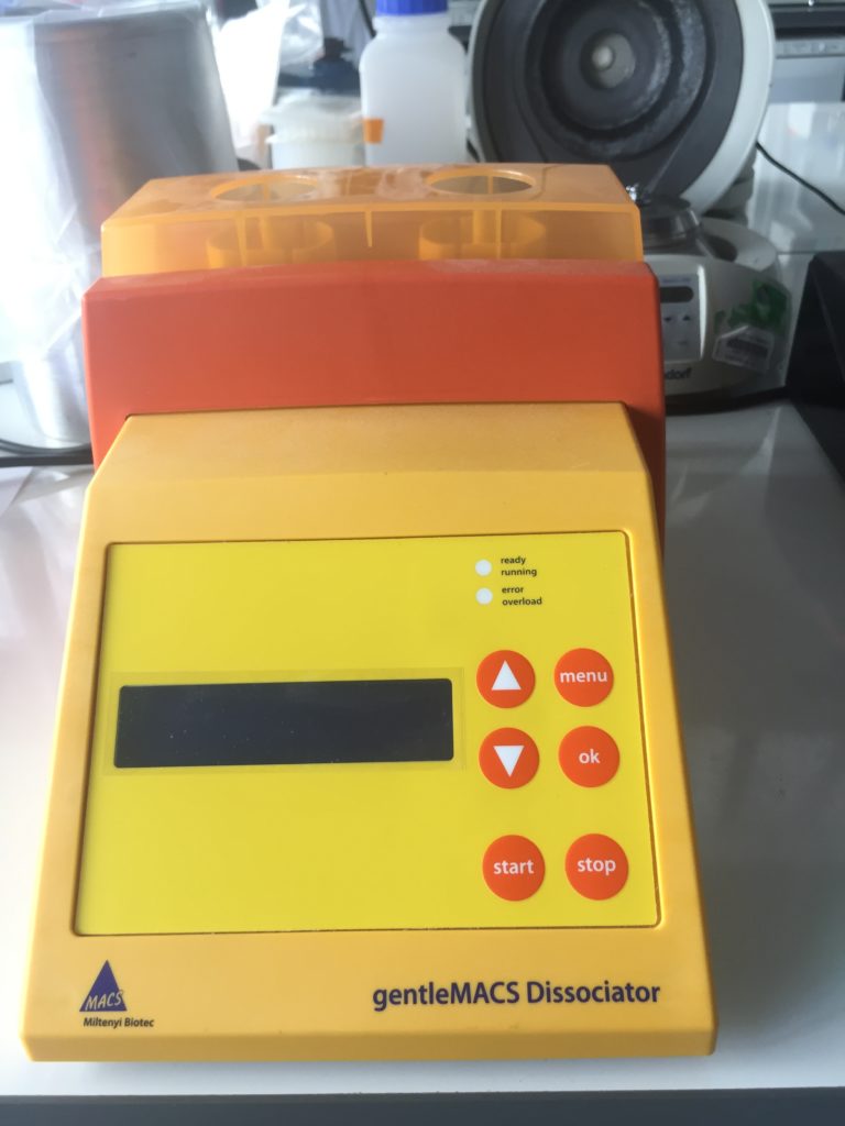 GentleMacs Dissociator - Research - Institut Pasteur