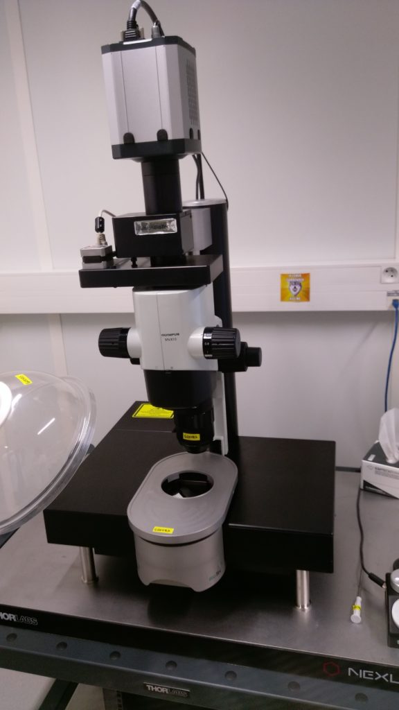 Light Sheet microscope - Lavision Biotech • Research - Institut Pasteur