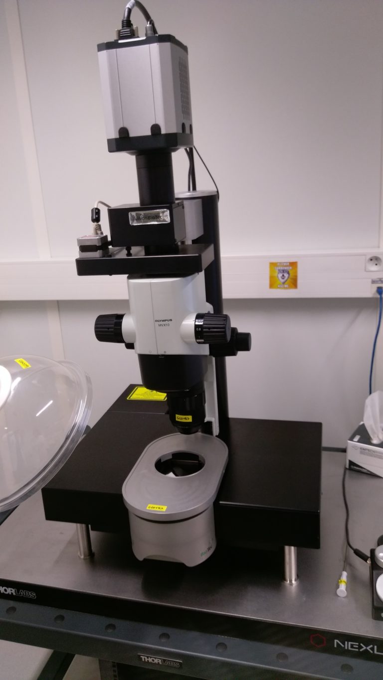 Light Sheet microscope - Research - Institut Pasteur