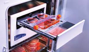 Incucyte - Live cell imaging - Research - Institut Pasteur