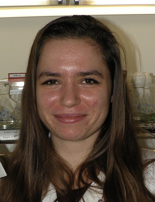 Laura Guichard - Research - Institut Pasteur