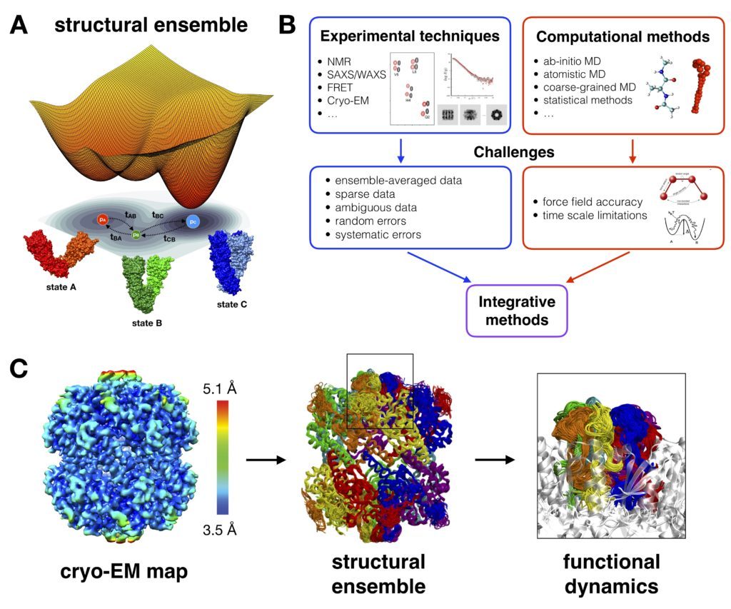 Max Bonomi - Computational Structural Biology - Research - Institut Pasteur