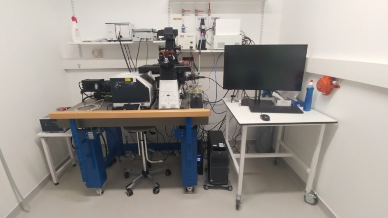 Microscope spinning disk - Research - Institut Pasteur