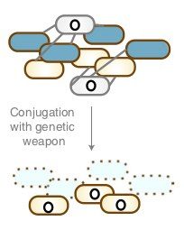 A new bacteria-killing weapon in the fight against antibiotic ...