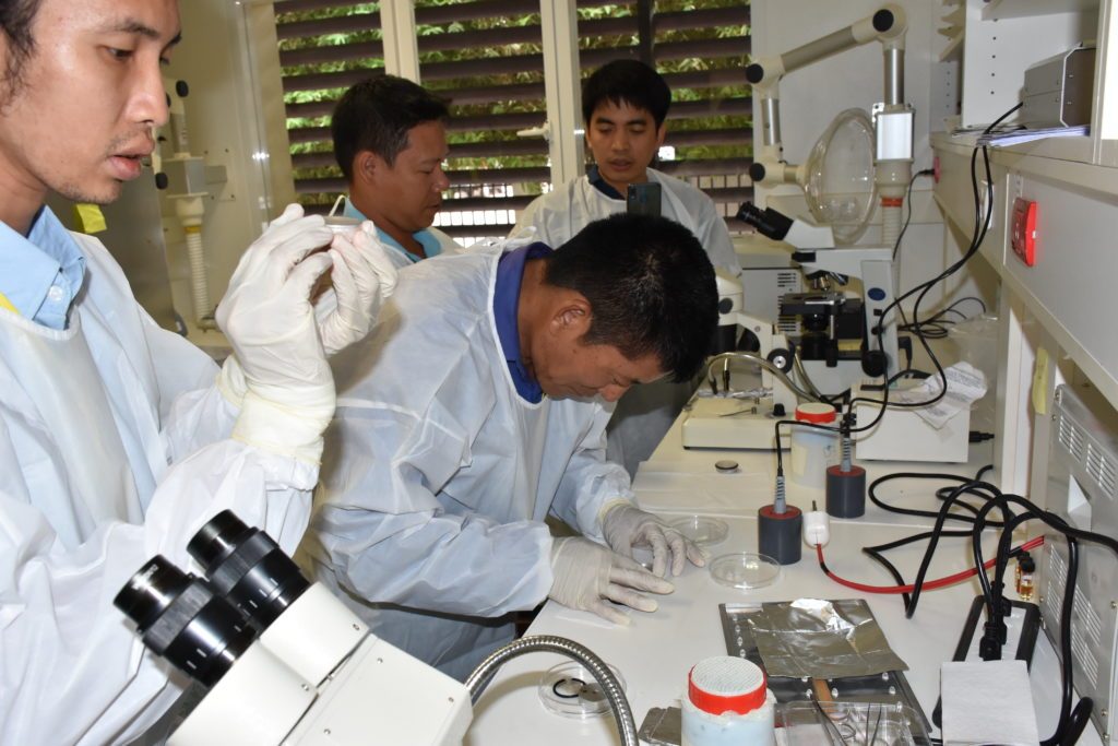 Second international medical entomology course - Research - Institut ...