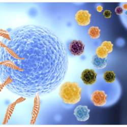 Nathalie Aulner - Single Cell Phenotyping - Microscopy - Research ...