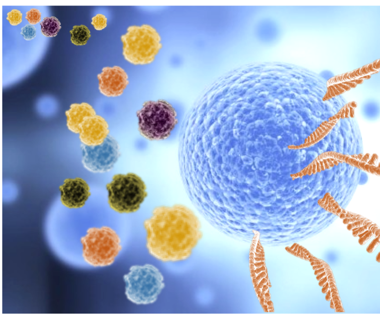 Single cell gene expression and beyond - Research - Institut Pasteur