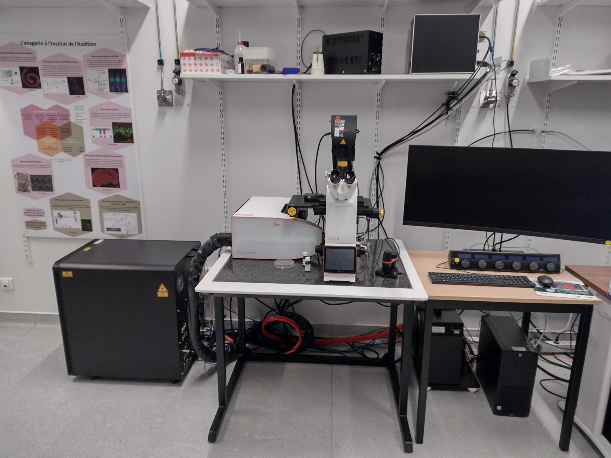 Confocal Stellaris 5 Leica - Research - Institut Pasteur