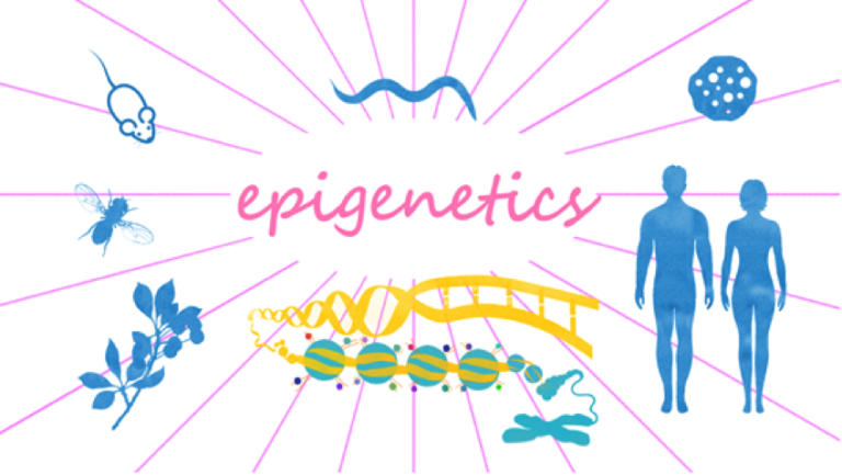 Epigenetics MOOC - Research - Institut Pasteur