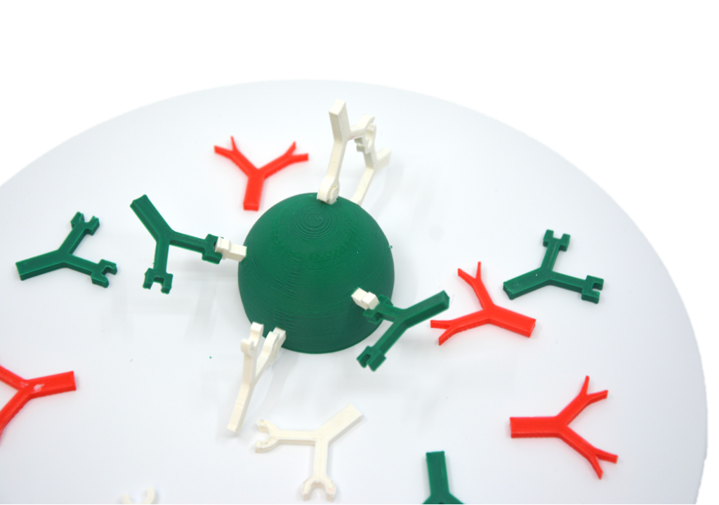 Timothée Bruel - Antiviral Activities of Antibodies - Research ...