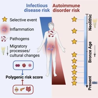 Highlighted paper: "Genetic adaptation to pathogens and increased risk ...