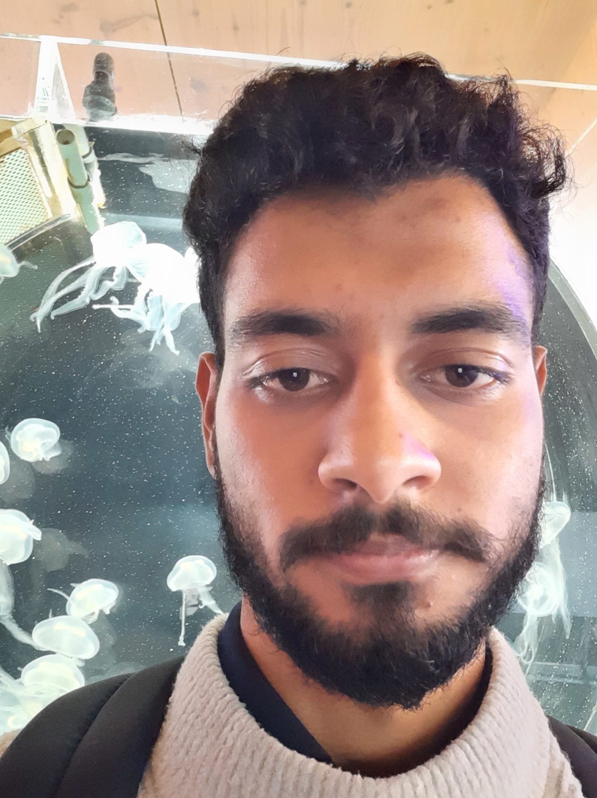 Thomas Treport - Research - Institut Pasteur