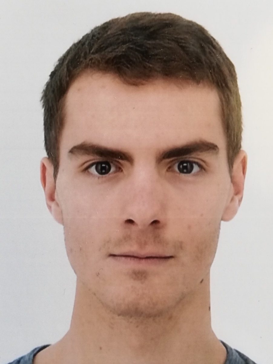 Merlin Després - Research - Institut Pasteur