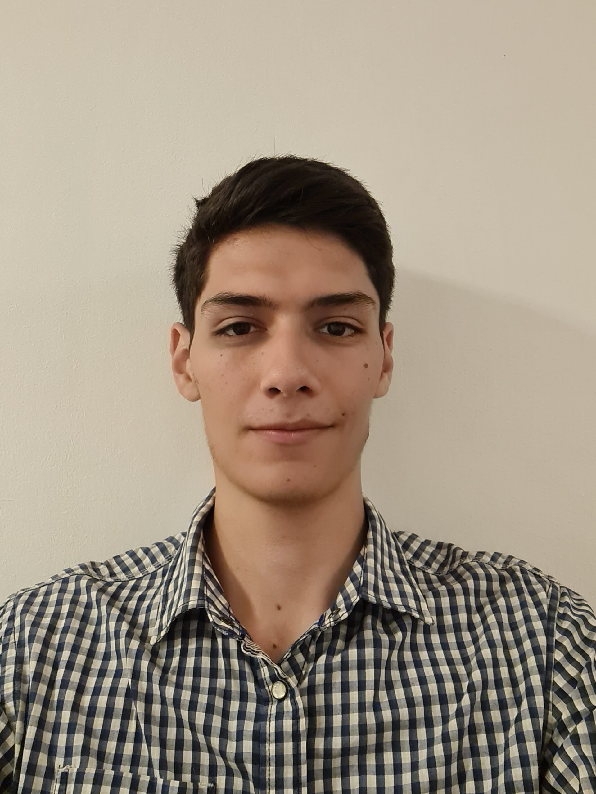 Luis Fernando Altamirano Pacheco - Research - Institut Pasteur