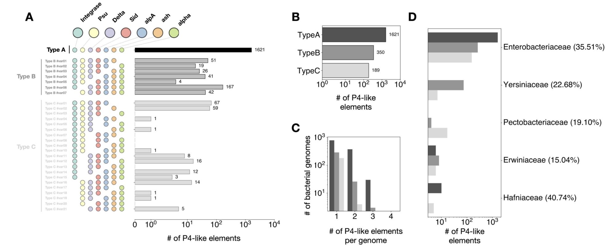 Eduardo Rocha - SatelliteFinder - Research - Institut Pasteur