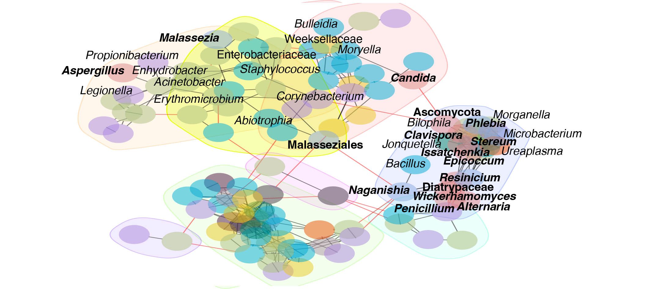 How the respiratory tract microbiome influences the severity of ...
