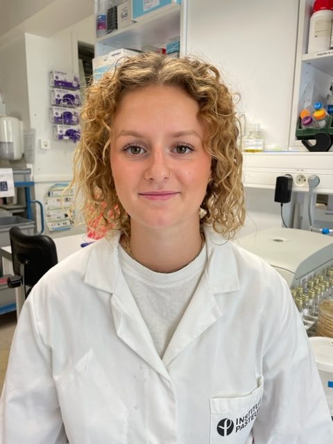 Clémentine Vallee - Research - Institut Pasteur