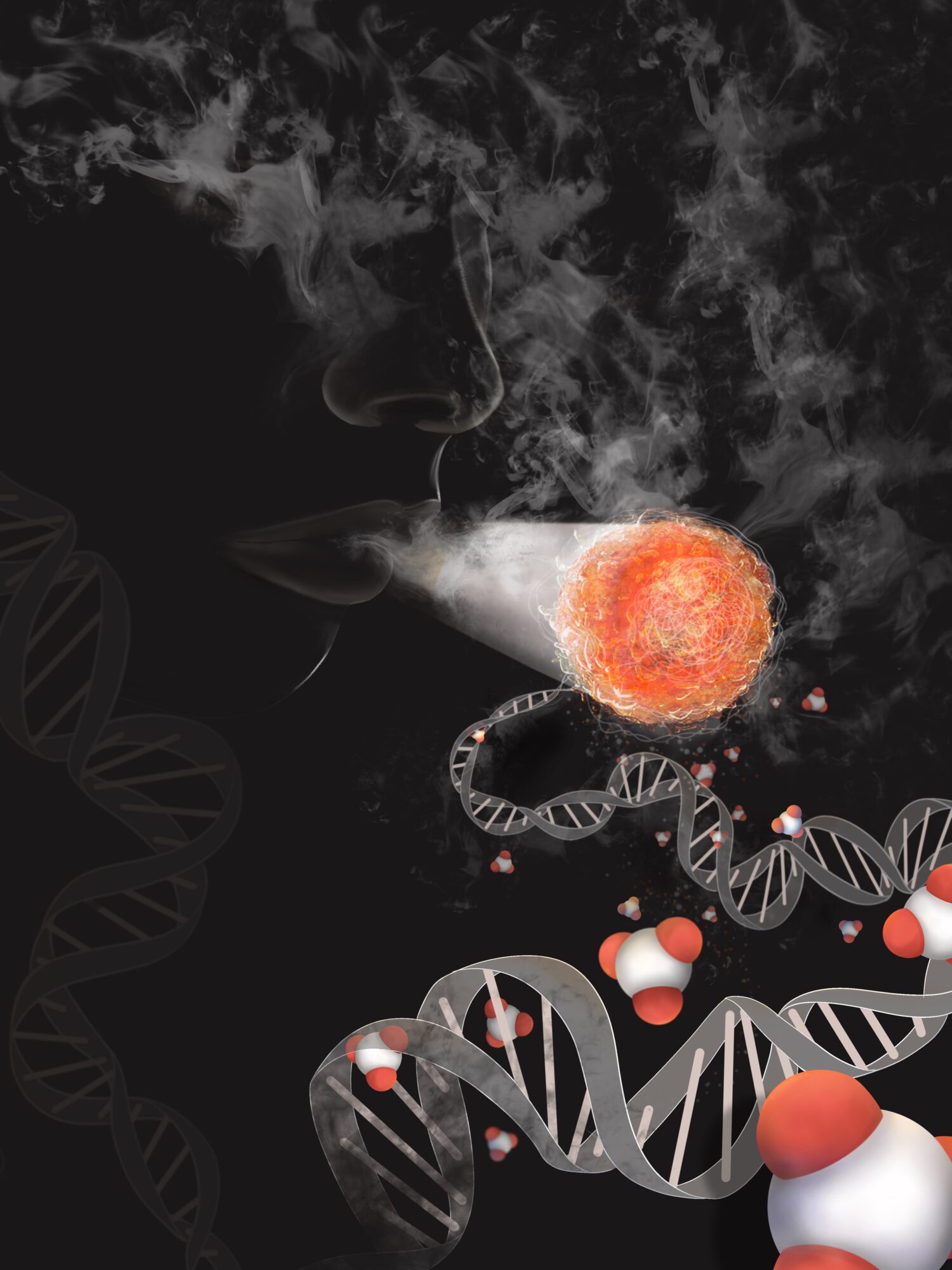 New publication - Smoking changes adaptive immunity with persistent effects - Research ...