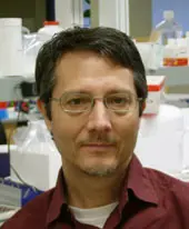 Kenneth Vernick - Research - Institut Pasteur