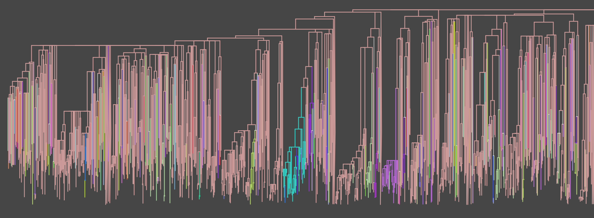 Anna Zhukova - Modelling of Pathogens: Evolution, Adaptation and Spread ...