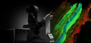 Microscope confocal/FLIM/FCS Stellaris 8 Falcon inverted - Research ...